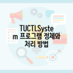 TUCTLSystem 프로그램 정체와 처리 방법